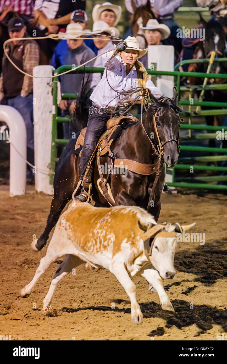 Rodeo cowgirl on horseback competing in calf roping, or tie-down roping ...