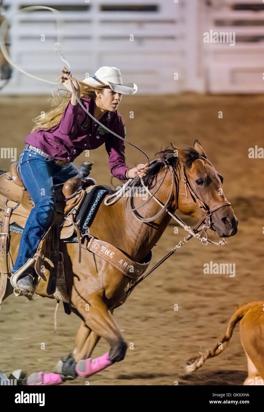 Cowgirl roping hi-res stock photography and images - Alamy