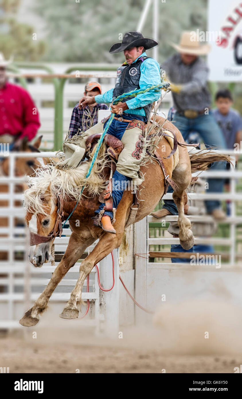 Man Riding Bucking Bronco High Resolution Stock Photography and Images ...