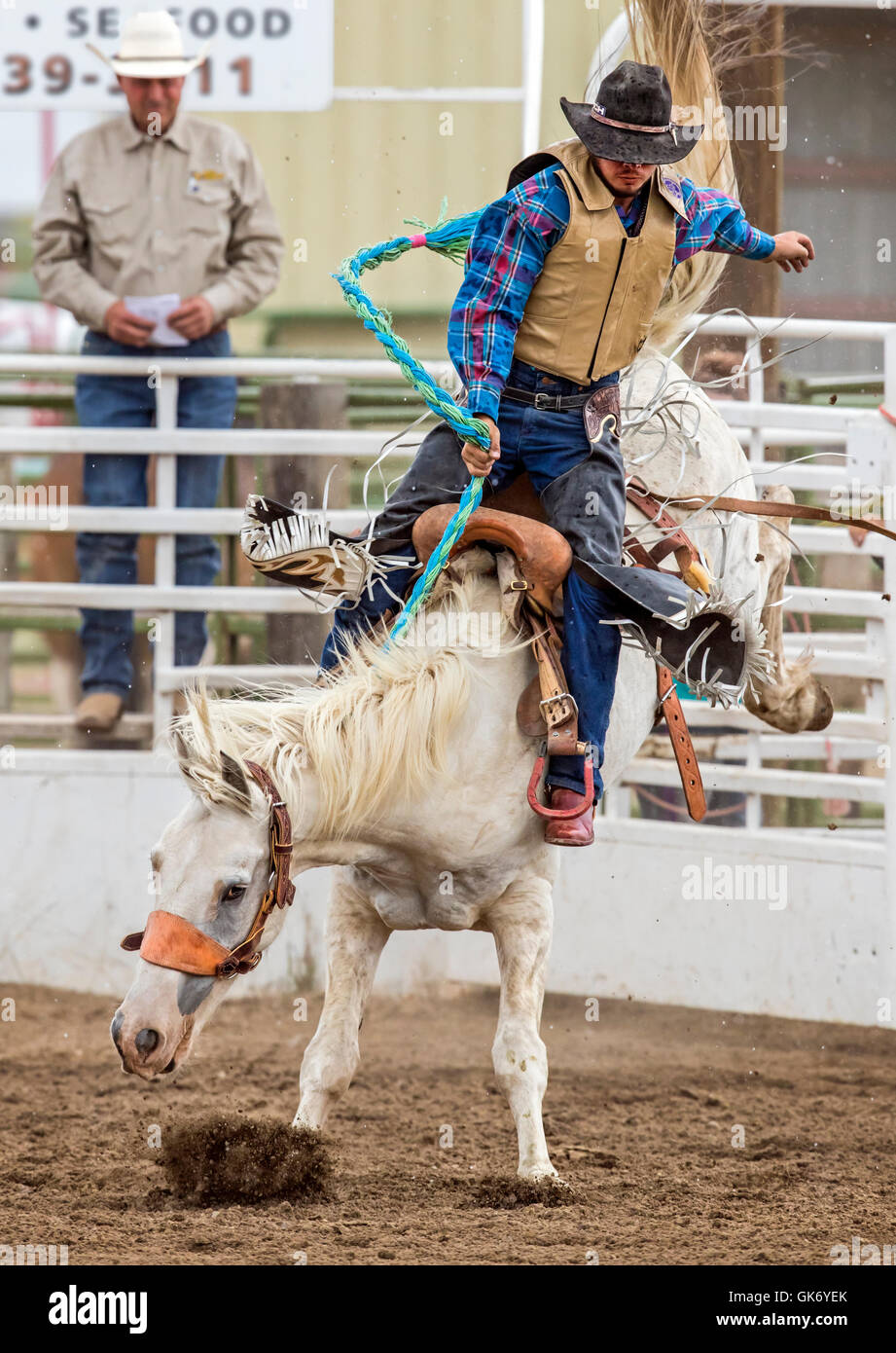 Rodeo cowboy riding a bucking horse, saddle bronc competition, Chaffee ...