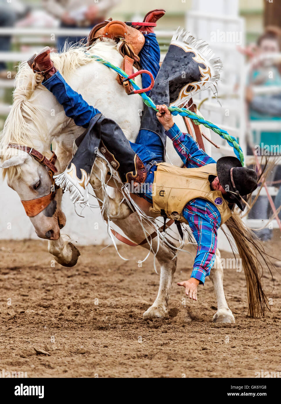 Rodeo cowboy riding a bucking horse, saddle bronc competition, Chaffee ...