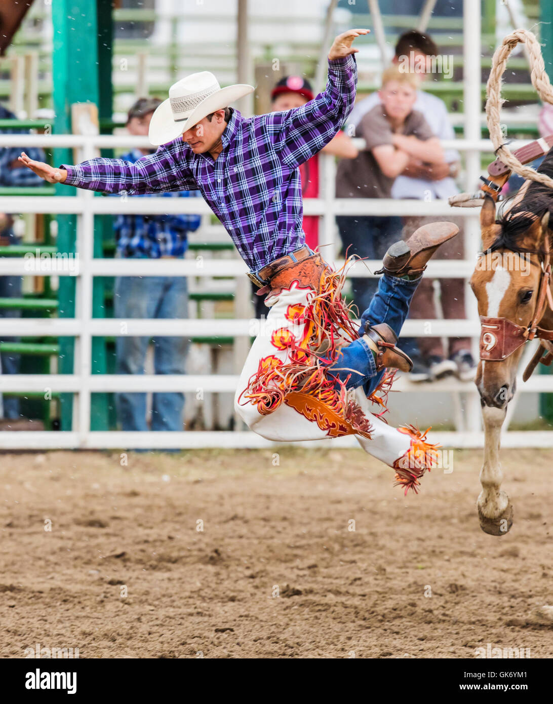 Cowboy riding horse at rodeo hi-res stock photography and images - Alamy
