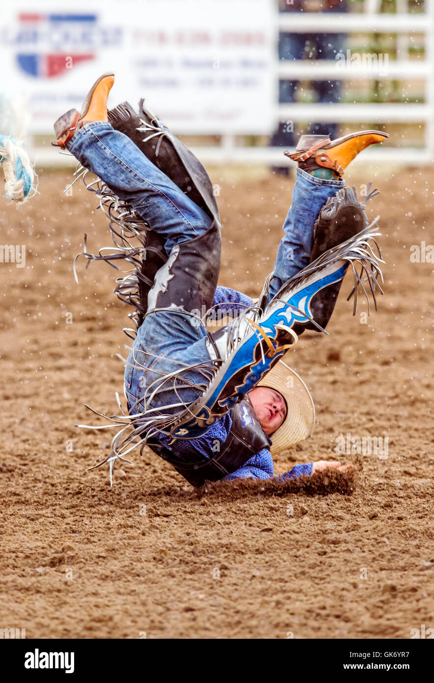 Rodeo cowboy riding a bucking horse, saddle bronc competition, Chaffee ...
