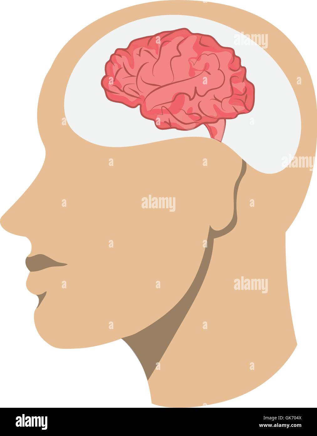 human brain in head icon Stock Vector Image & Art - Alamy