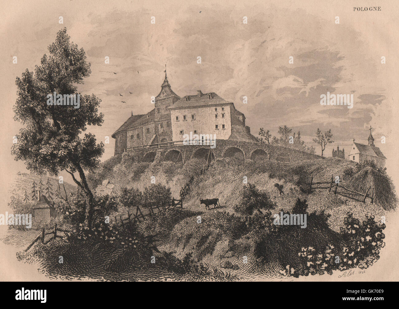 Olesko Castle