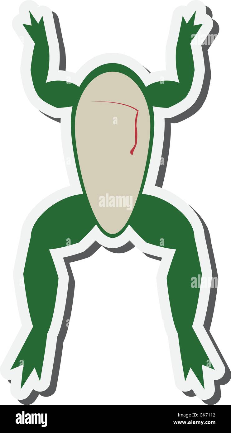 Frog anatomy mouth hi-res stock photography and images - Alamy