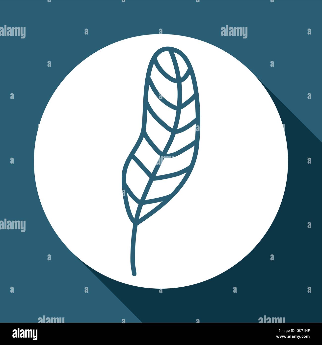 feather icon design , vector illustration Stock Vector Image & Art - Alamy