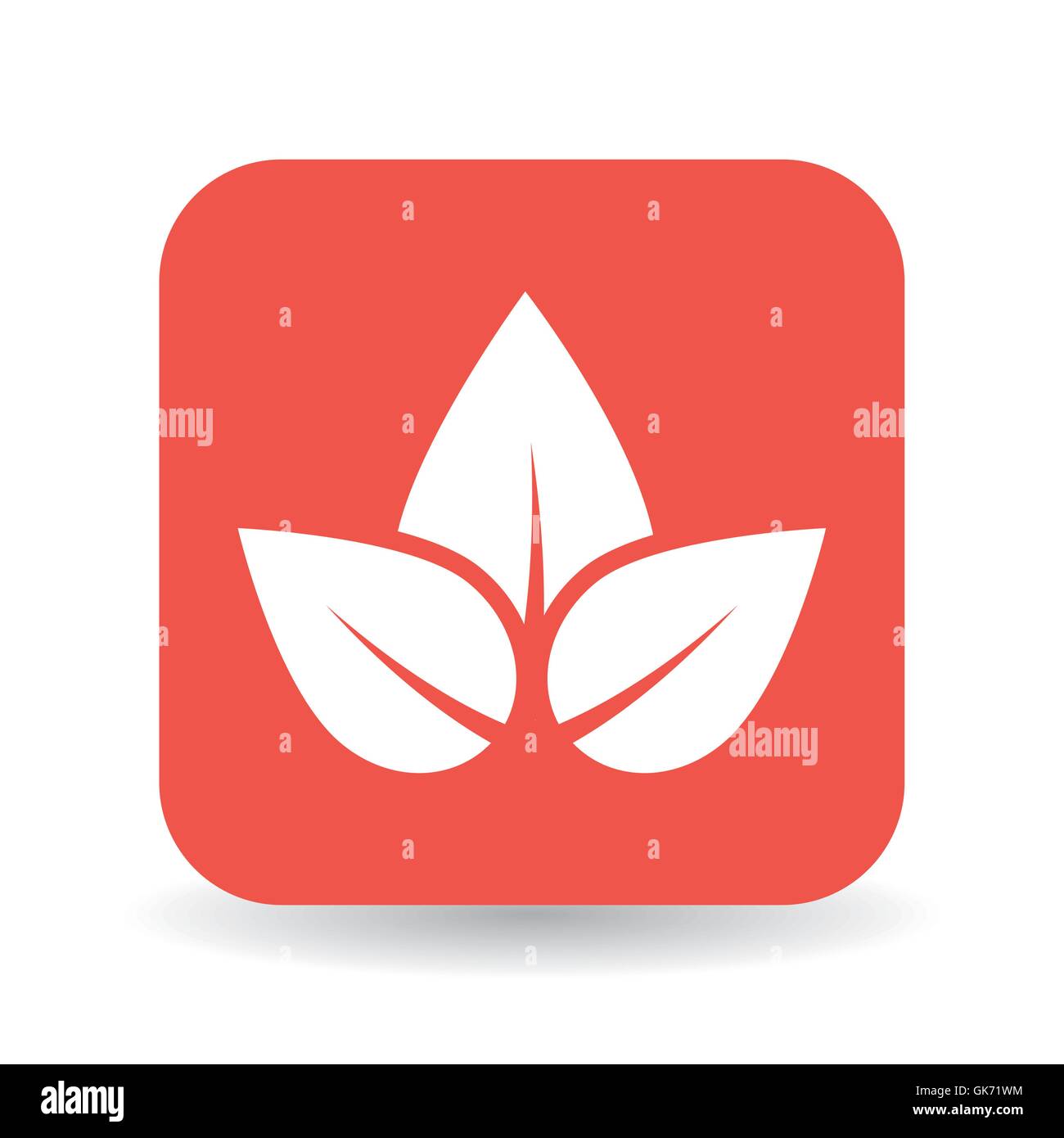 eco leaf design Stock Vector Image & Art - Alamy