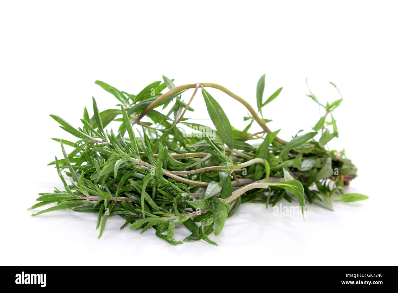 Savory plant Cut Out Stock Images & Pictures - Alamy