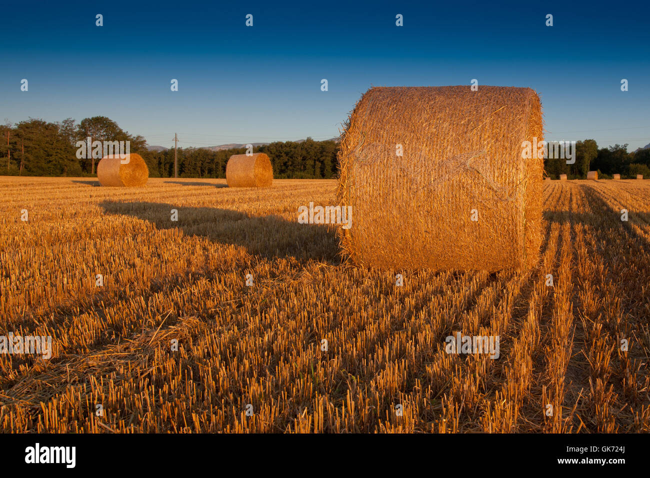 Parcel farming hi-res stock photography and images - Alamy