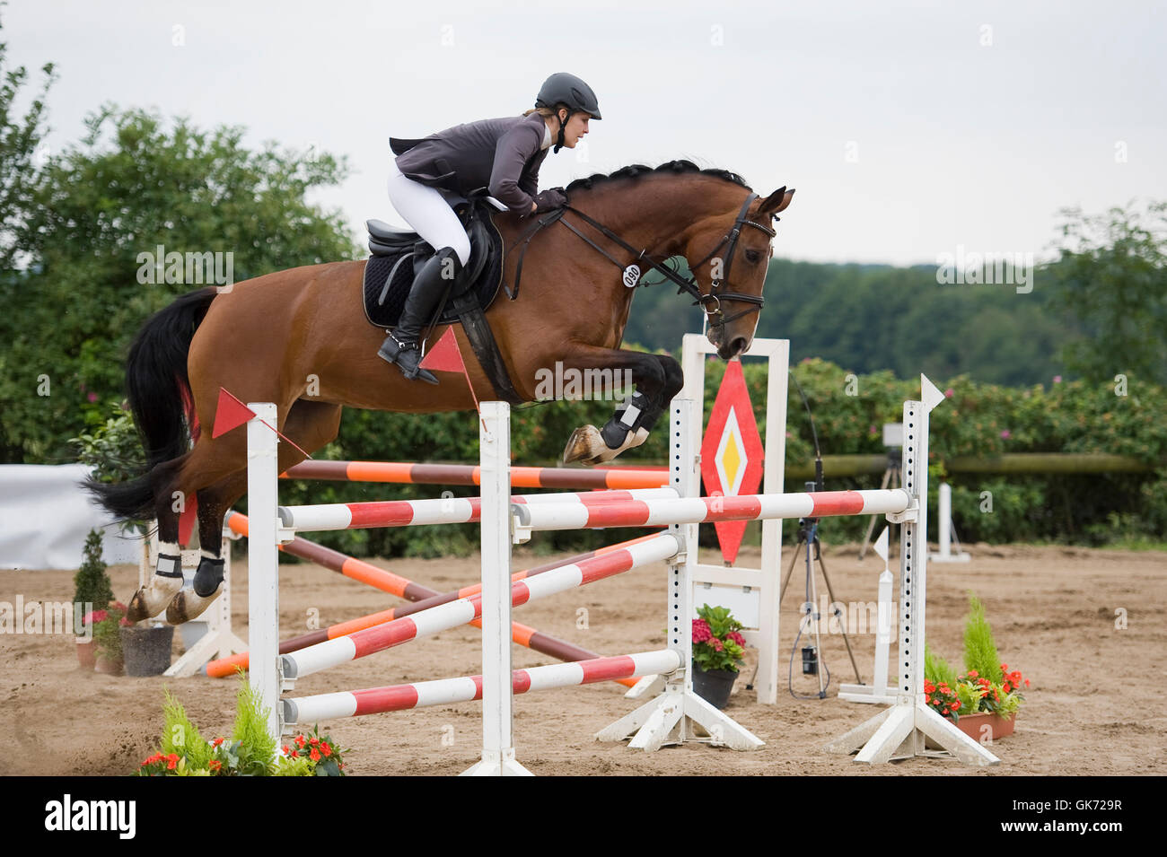 ride horse spring Stock Photo - Alamy