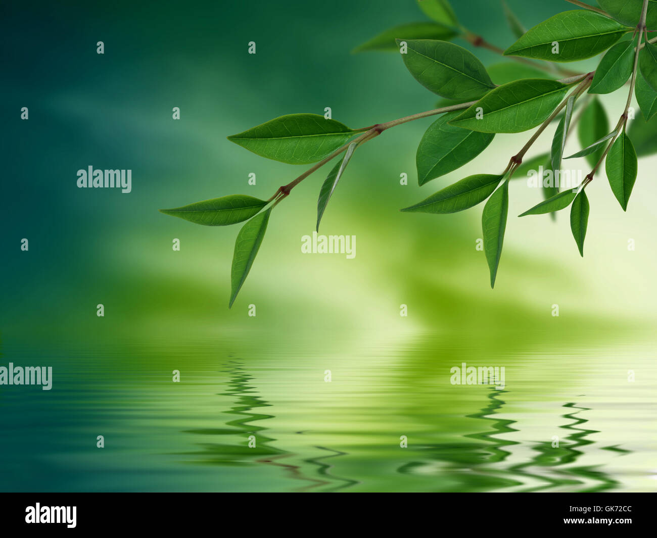 Leaf and eco hi-res stock photography and images - Alamy
