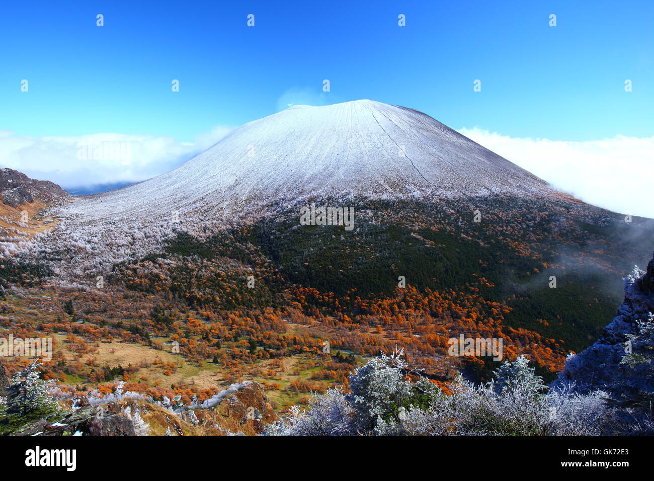 cold snow coke Stock Photo - Alamy
