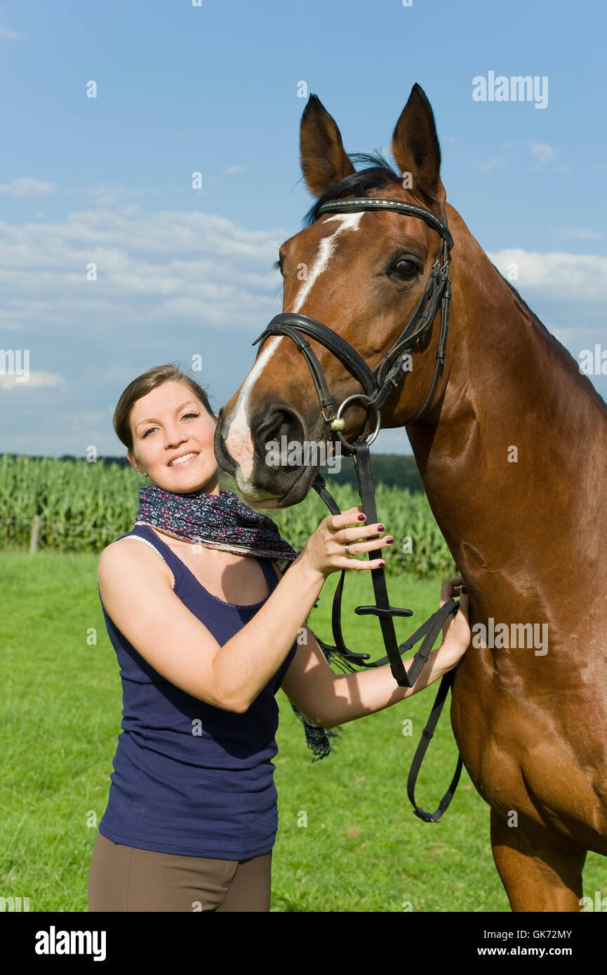 Stallion selection hi-res stock photography and images - Alamy