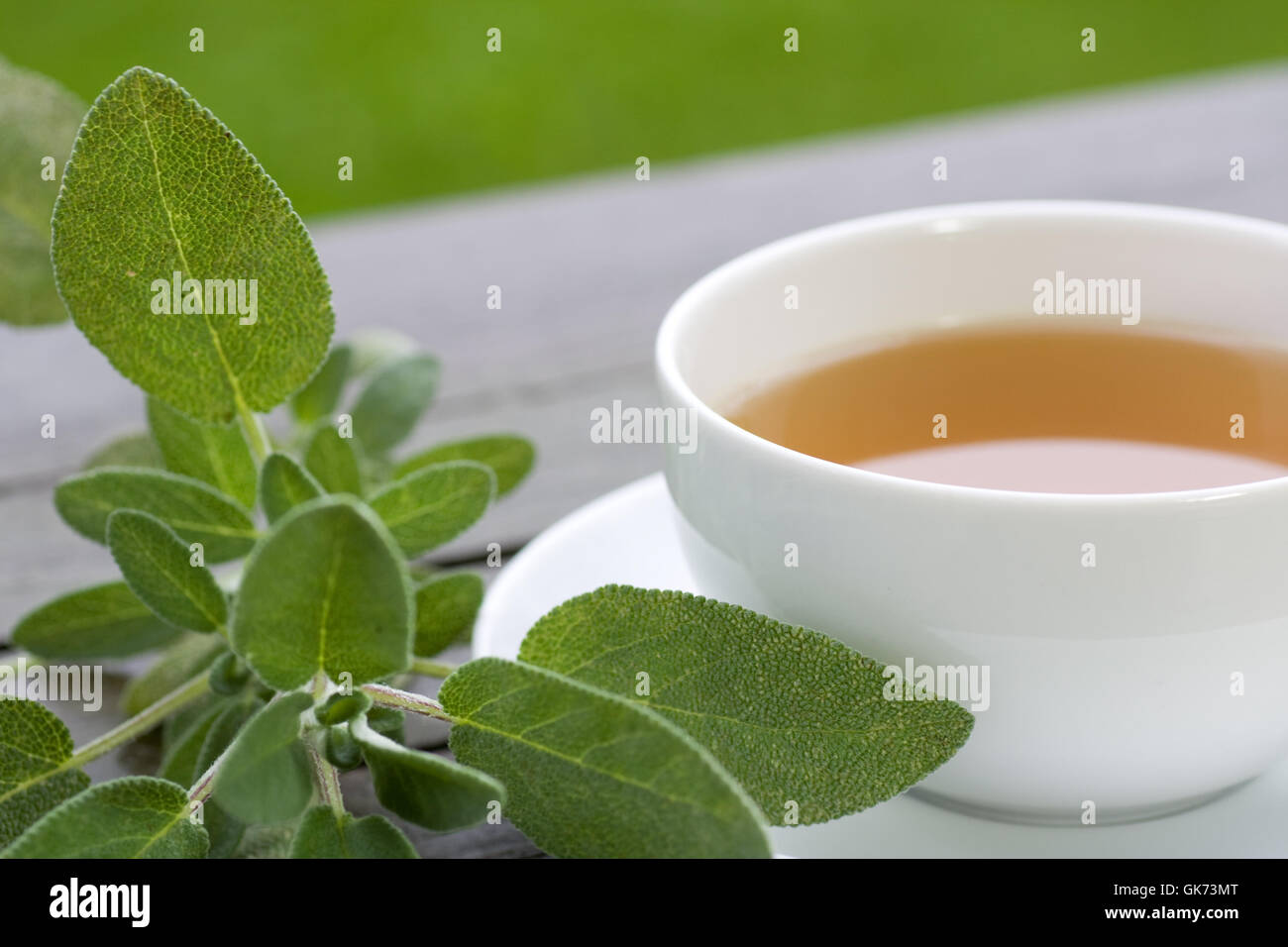 Sage Tea High Resolution Stock Photography and Images - Alamy