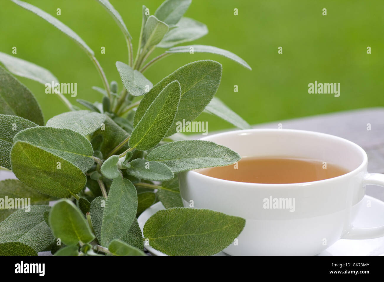 Served outside hi-res stock photography and images - Alamy