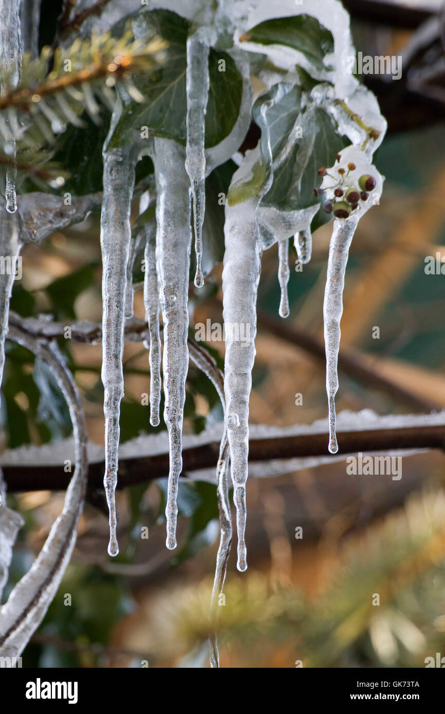 winter ice icicle Stock Photo - Alamy