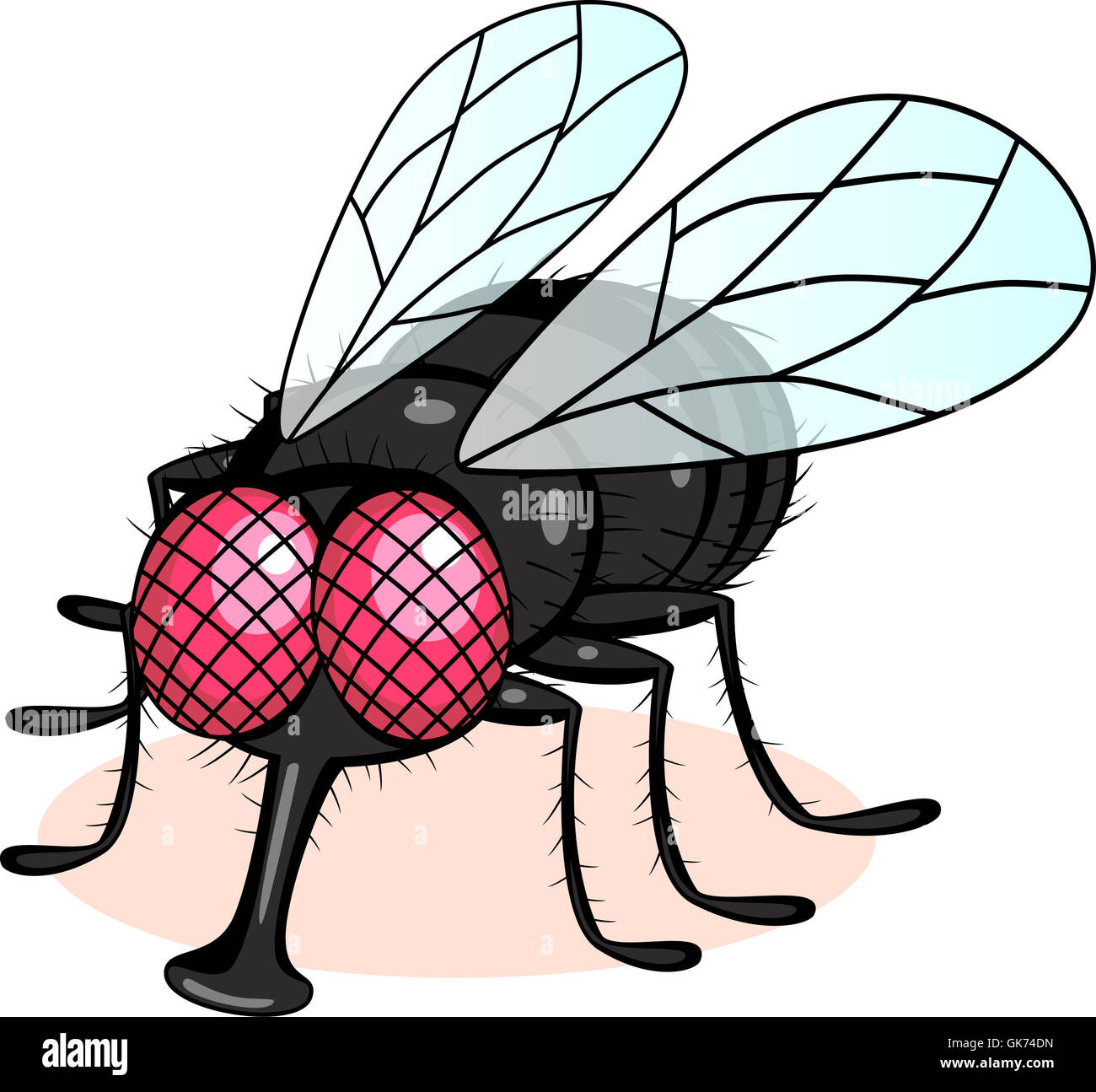 insect illustration fly Stock Photo - Alamy