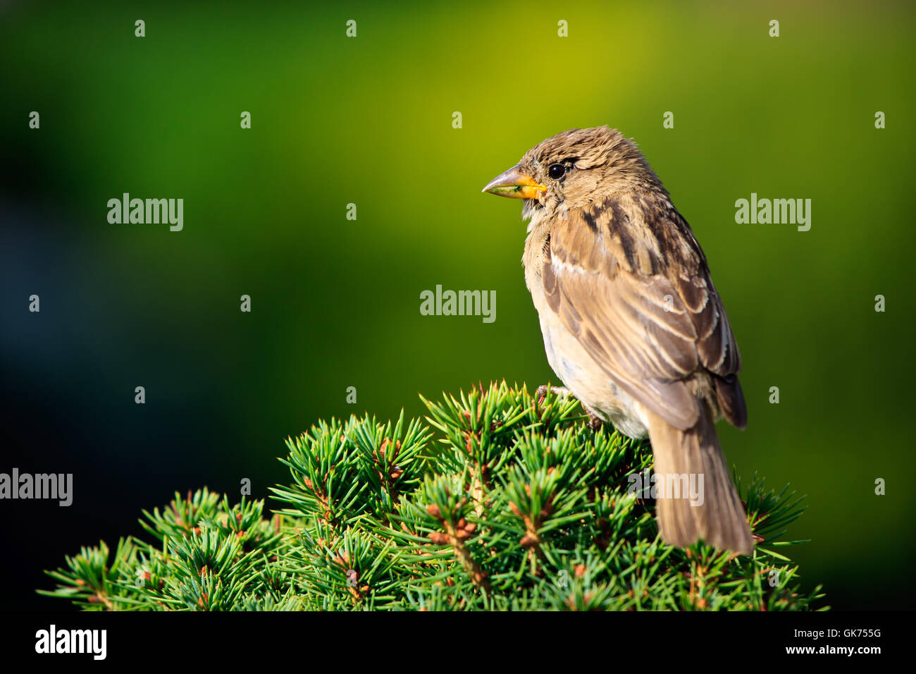 Urban existence hi-res stock photography and images - Alamy