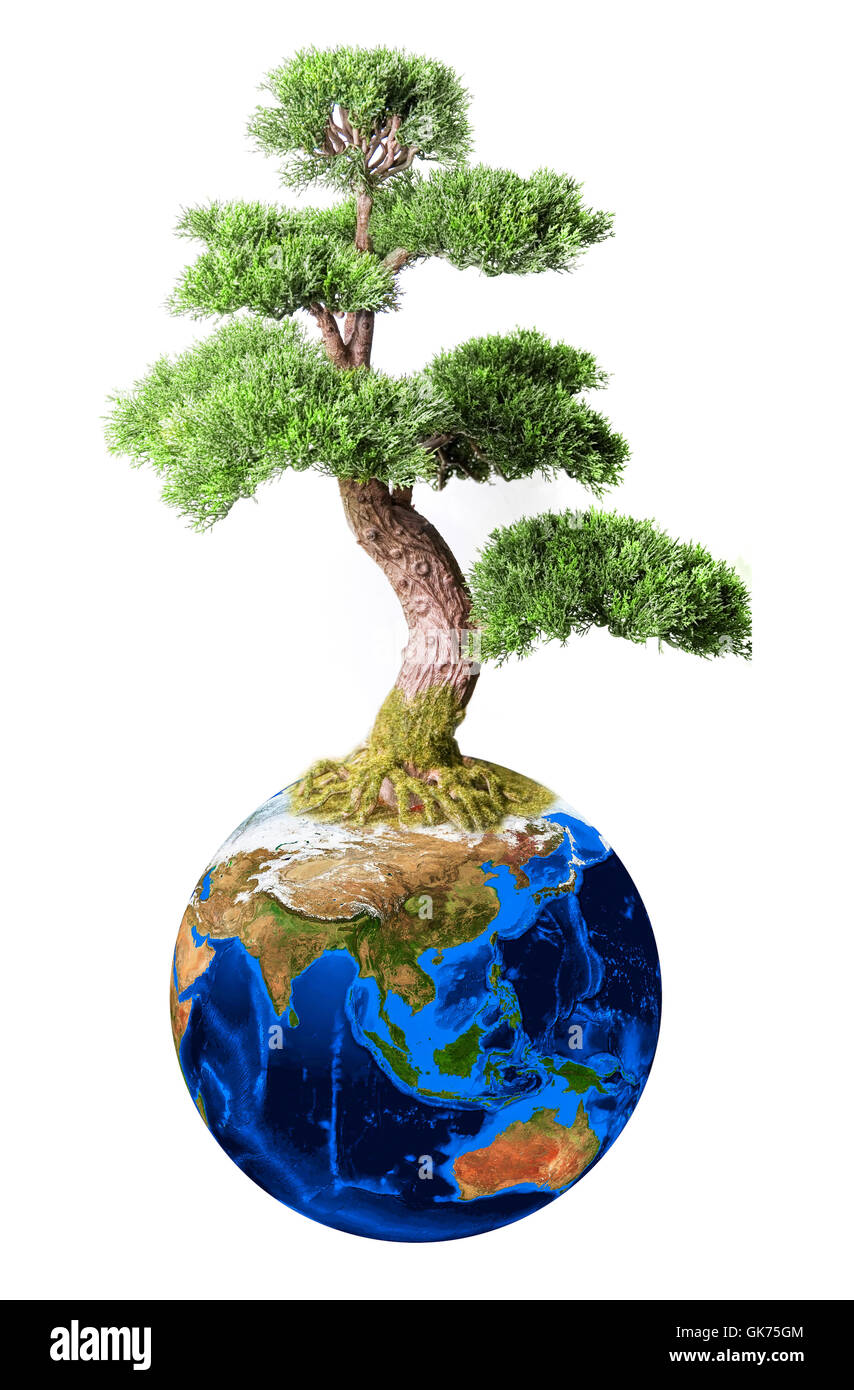 Life map Cut Out Stock Images & Pictures - Alamy