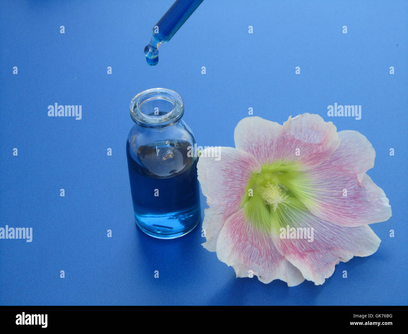 Essence gorgeous hi-res stock photography and images - Alamy