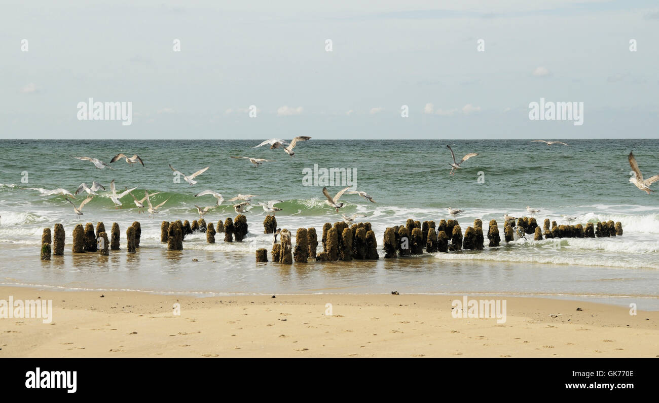 Water groynes hi-res stock photography and images - Alamy