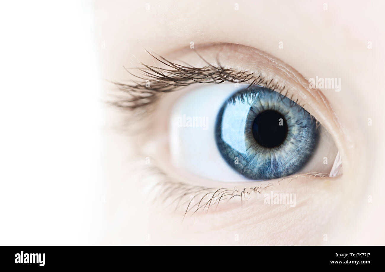 blue macro close-up Stock Photo - Alamy