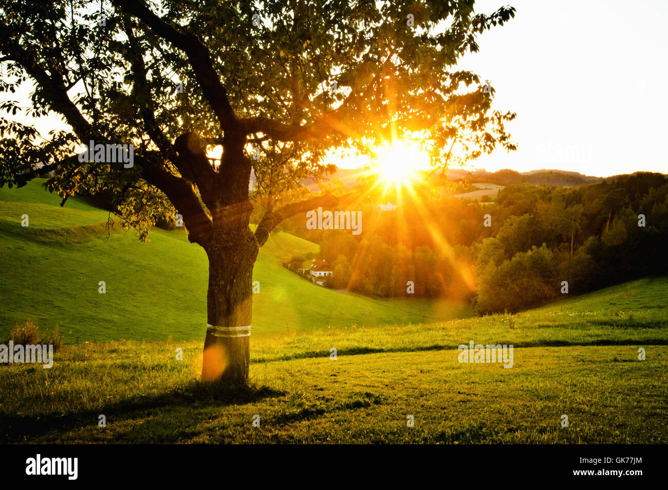 austria country landscape Stock Photo - Alamy
