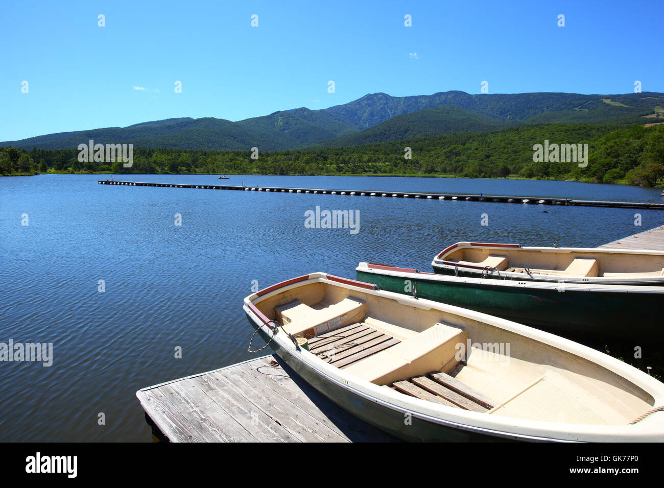 Eco enviroment hi-res stock photography and images - Alamy