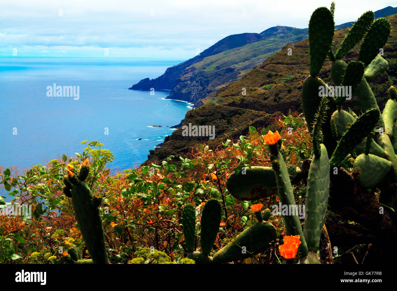 atlantic ocean salt water sea Stock Photo - Alamy