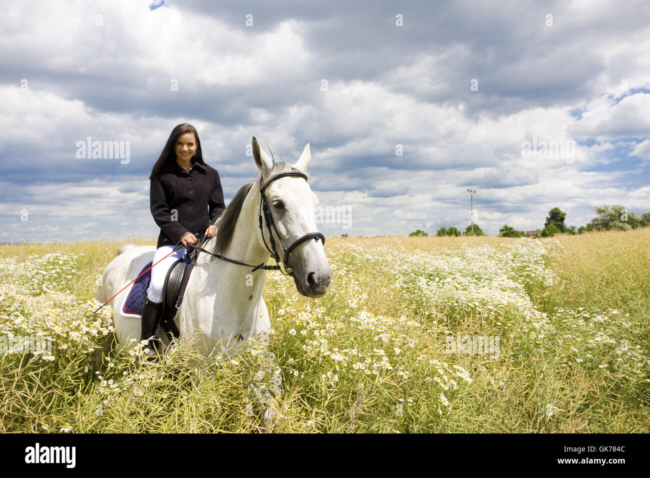 rider equestrian woman Stock Photo - Alamy