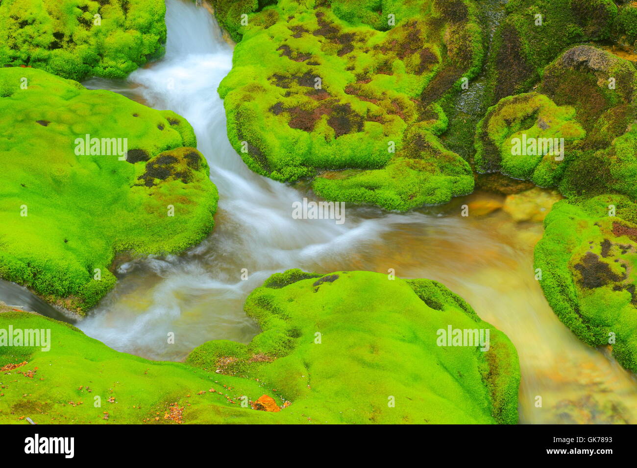 stream moss japan Stock Photo - Alamy