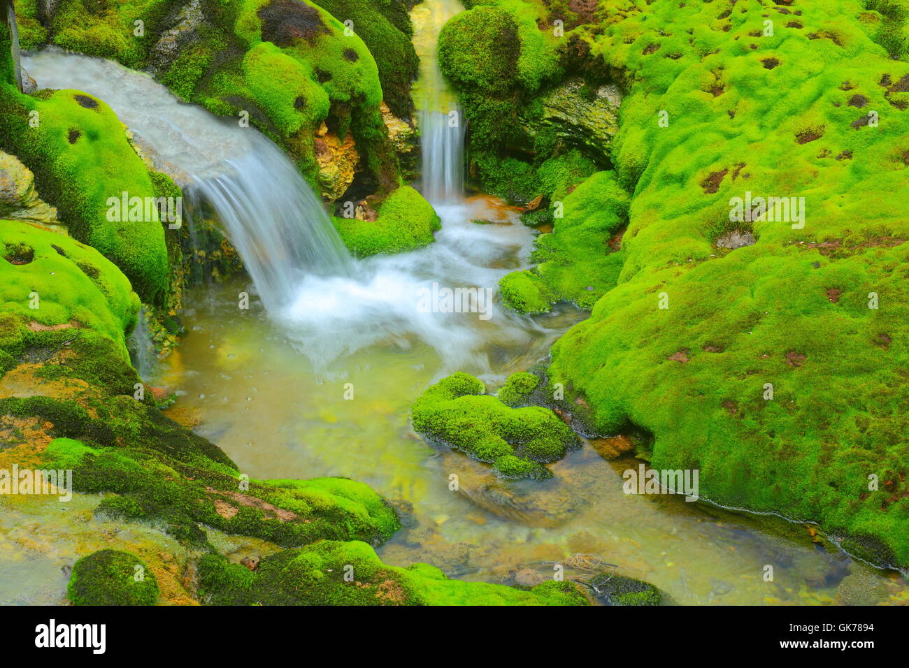 stream moss japan Stock Photo - Alamy