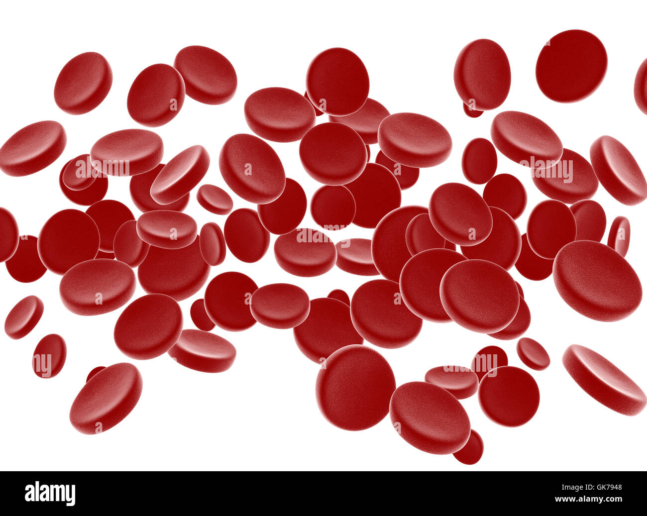 isolated blood cells Stock Photo - Alamy