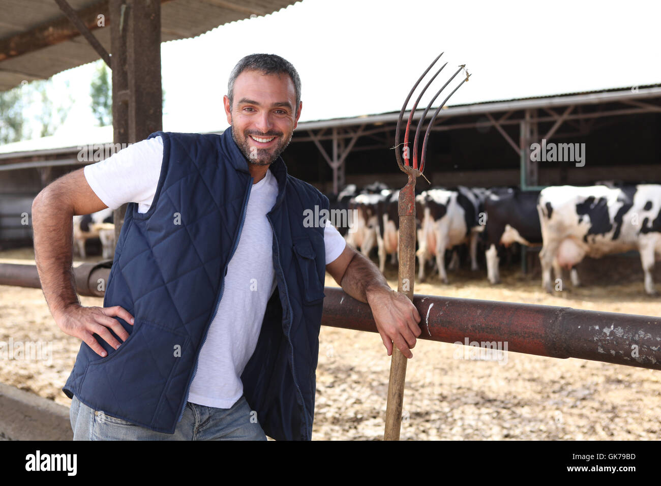 agrarian agricultural animals Stock Photo - Alamy