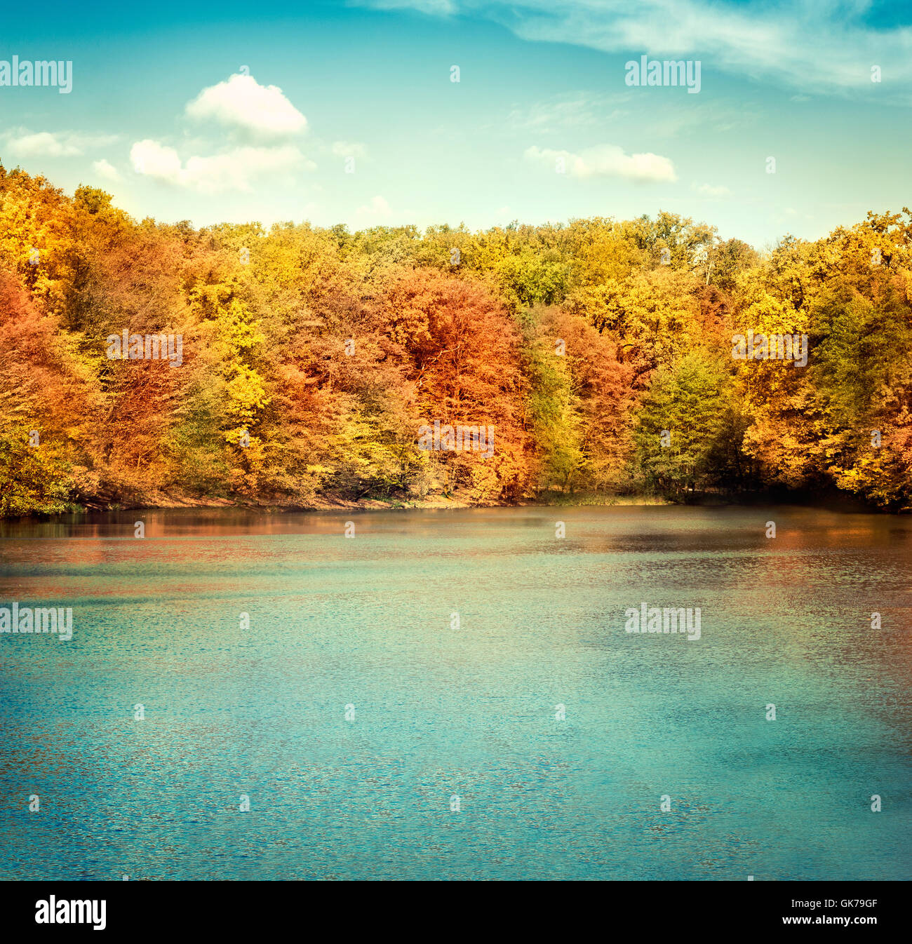 summer summerly reflection Stock Photo - Alamy