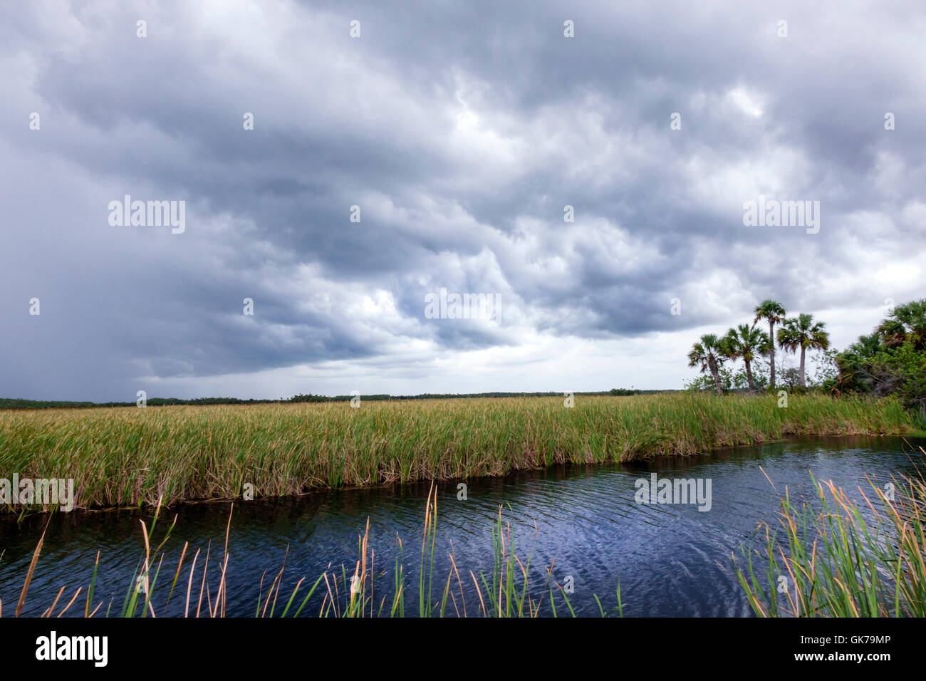 Florida Everglades,Tamiami Trail,Everglades National Park,tropical ...