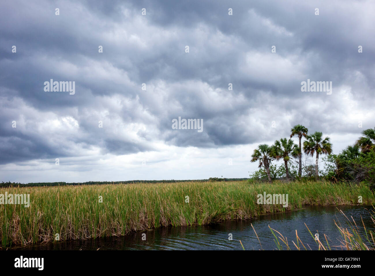 Florida Everglades,Tamiami Trail,Everglades National Park,tropical ...