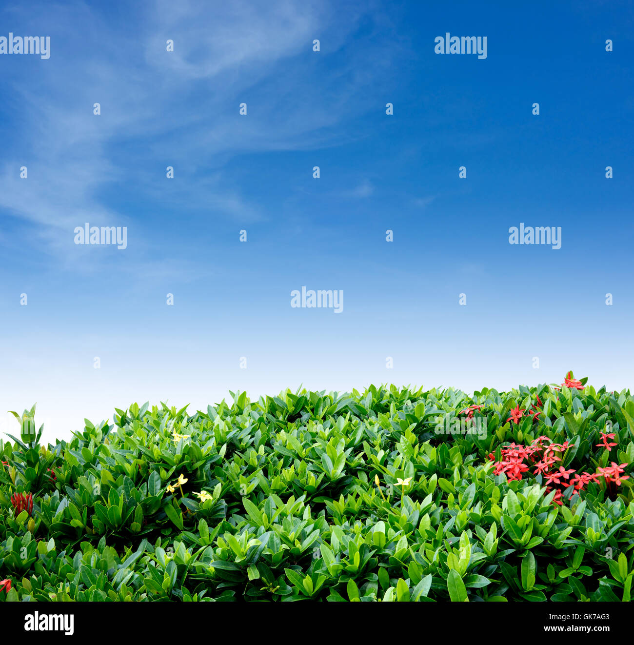 blue green cloud Stock Photo - Alamy