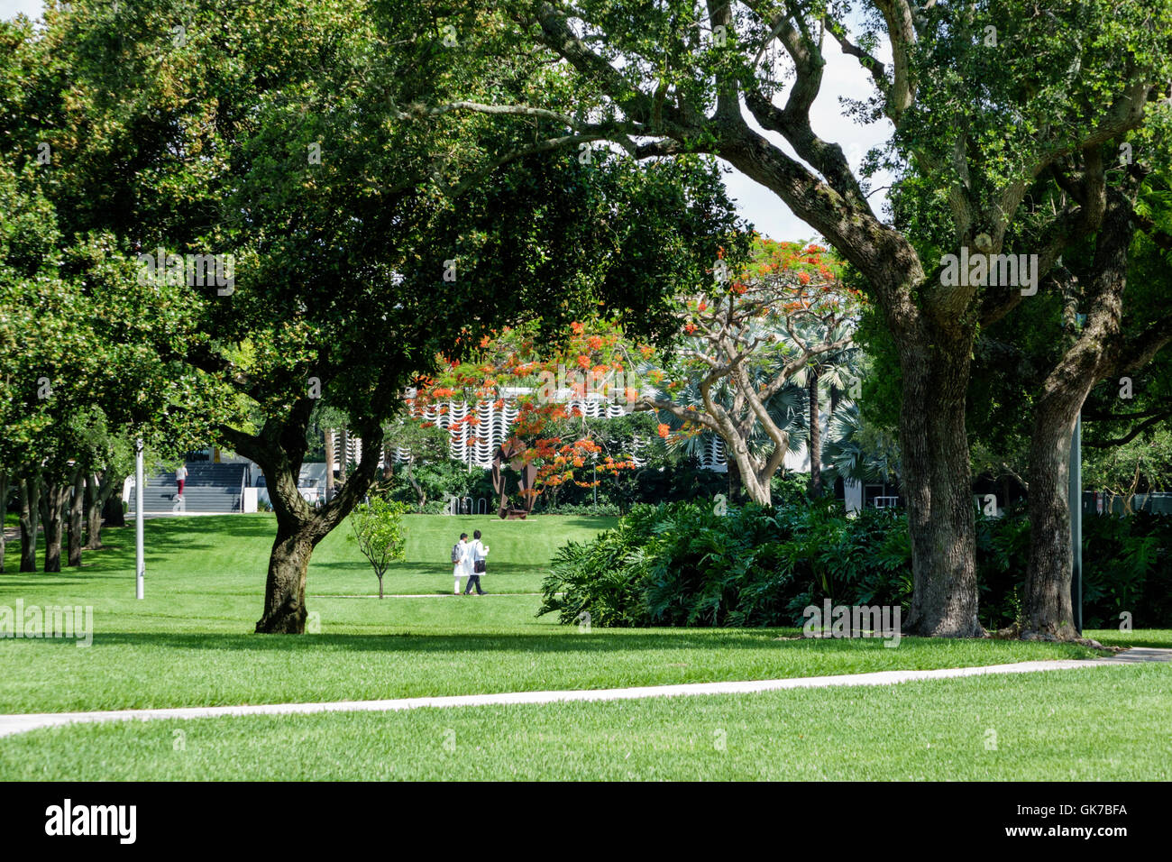 Miami Florida,Coral Gables,University of Miami,UM,higher education ...