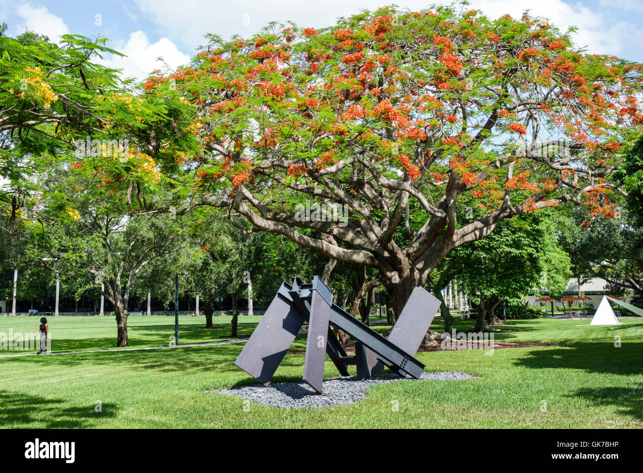 Miami Florida,Coral Gables,University of Miami,UM,higher education ...