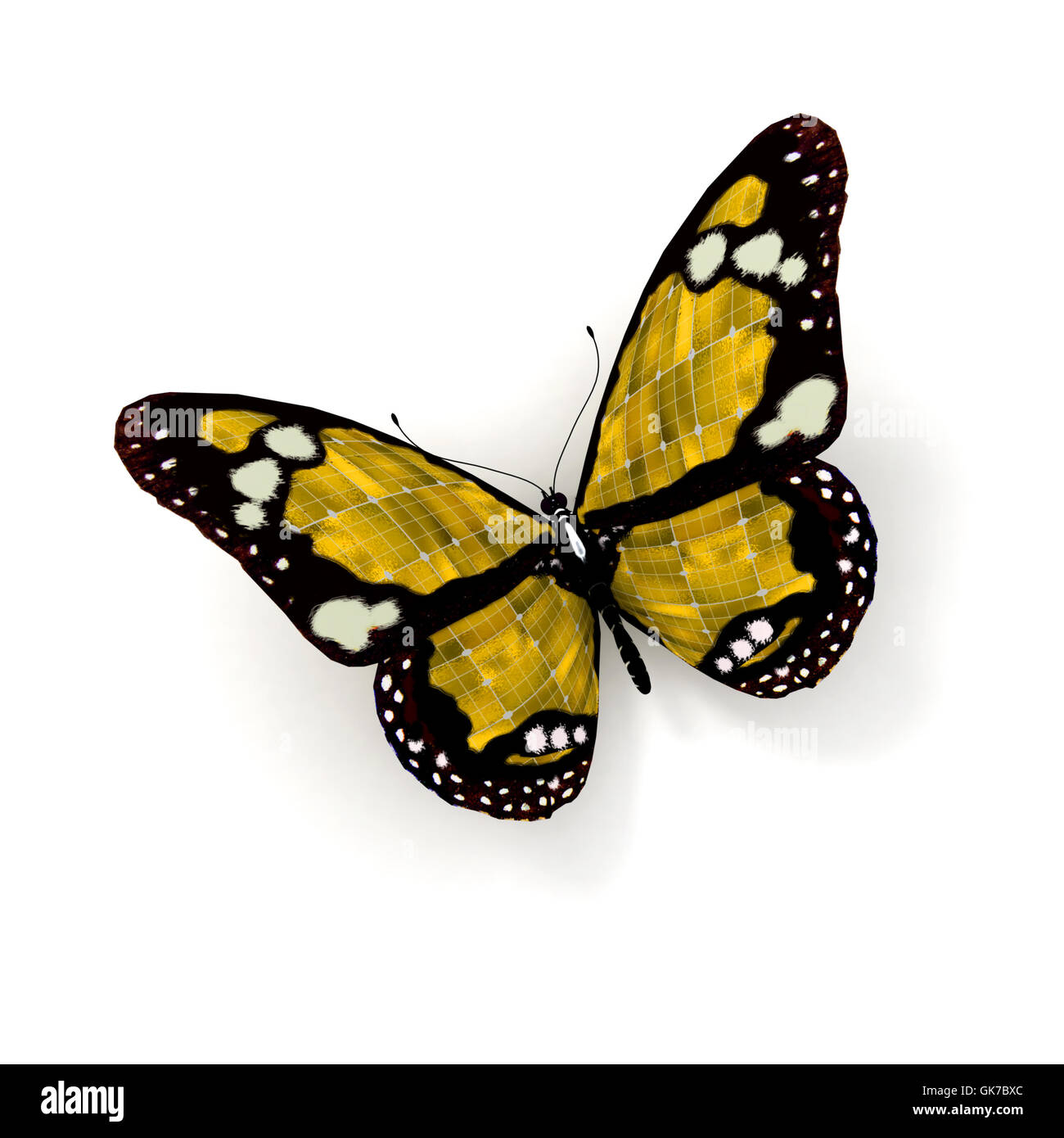 Yellow coloured wings hi-res stock photography and images - Alamy