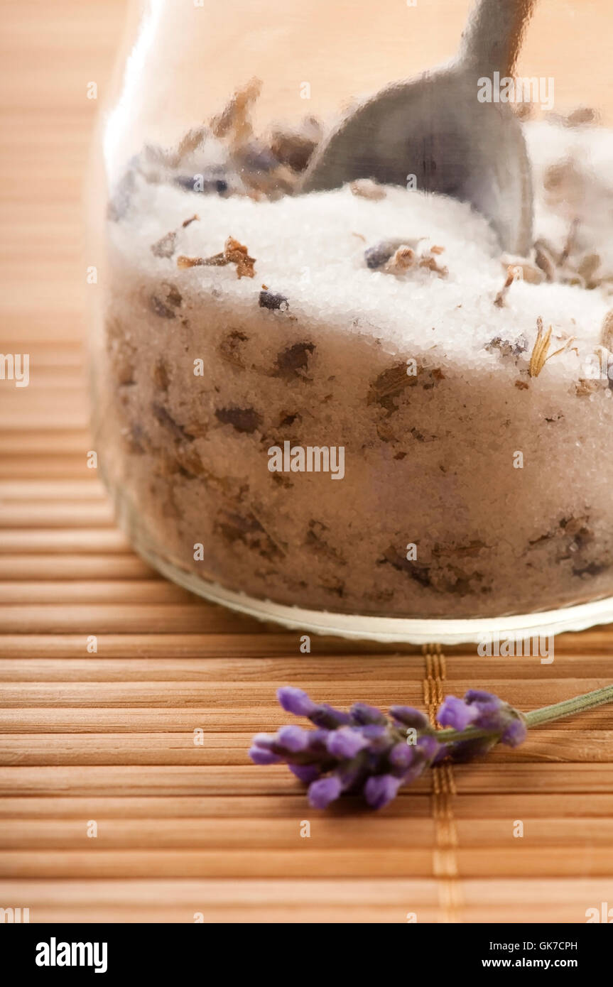 Sweetener plant hi-res stock photography and images - Alamy