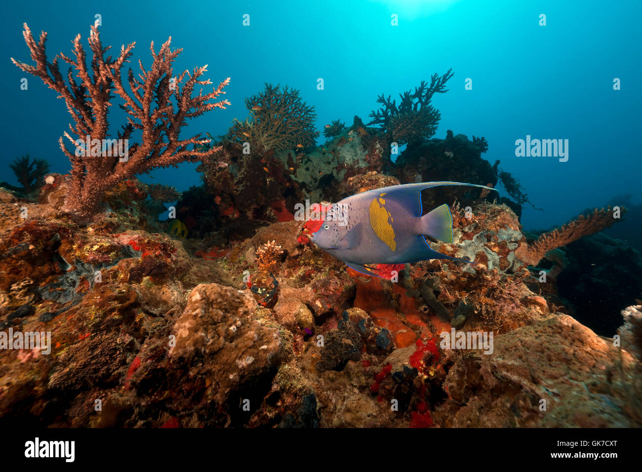 Colour scenes hi-res stock photography and images - Alamy