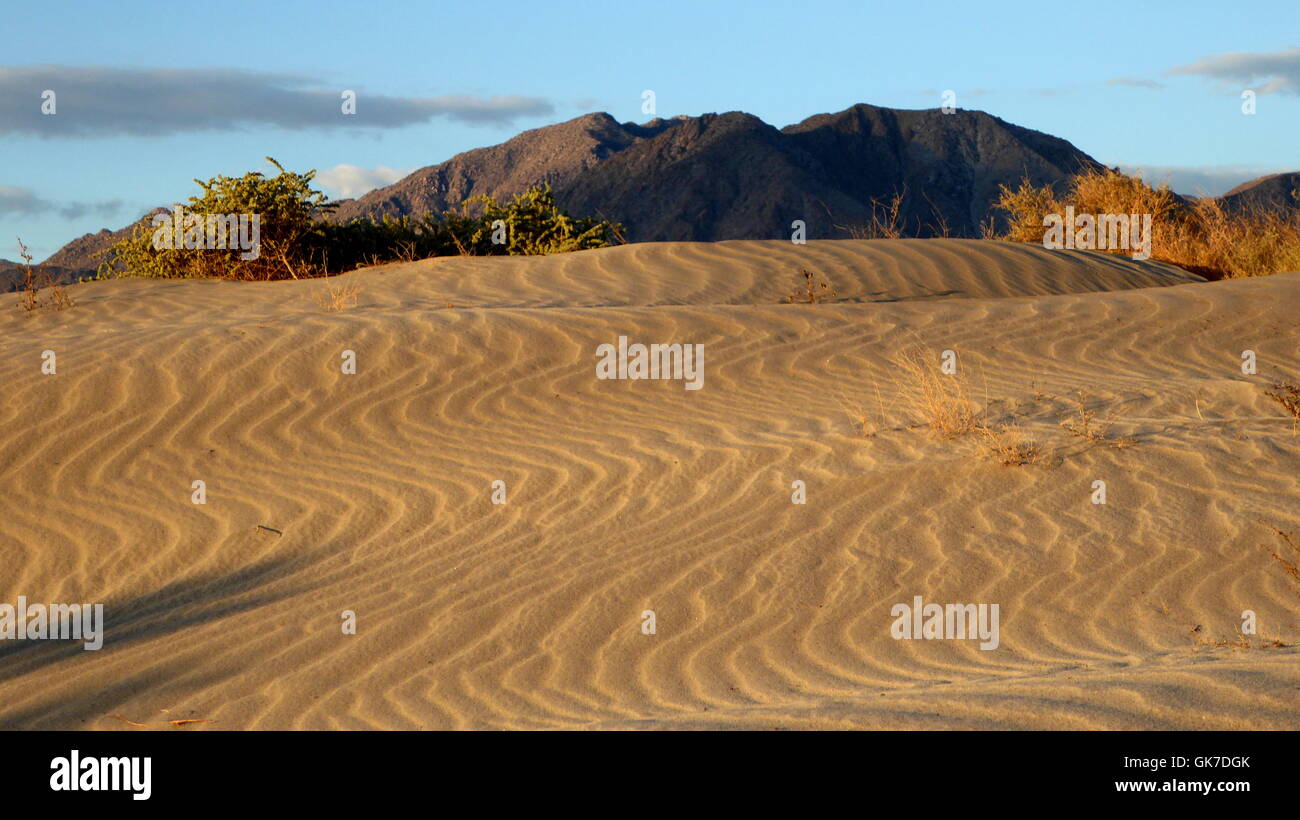 Dune with wavy sand pattern in the desert with mountains and blue sky ...