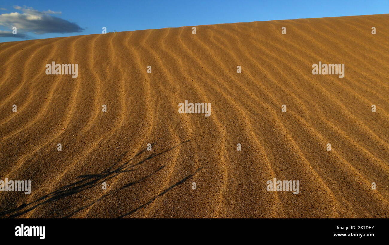 Dune with wavy sand pattern in the desert with blue sky and clouds ...
