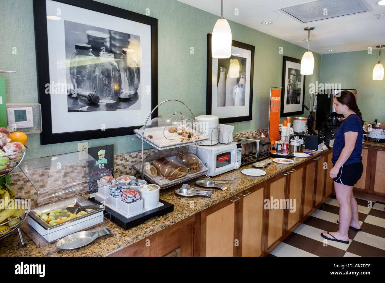 Florida,South,Ellenton,Hampton Inn,hotel hotels lodging inn motel ...