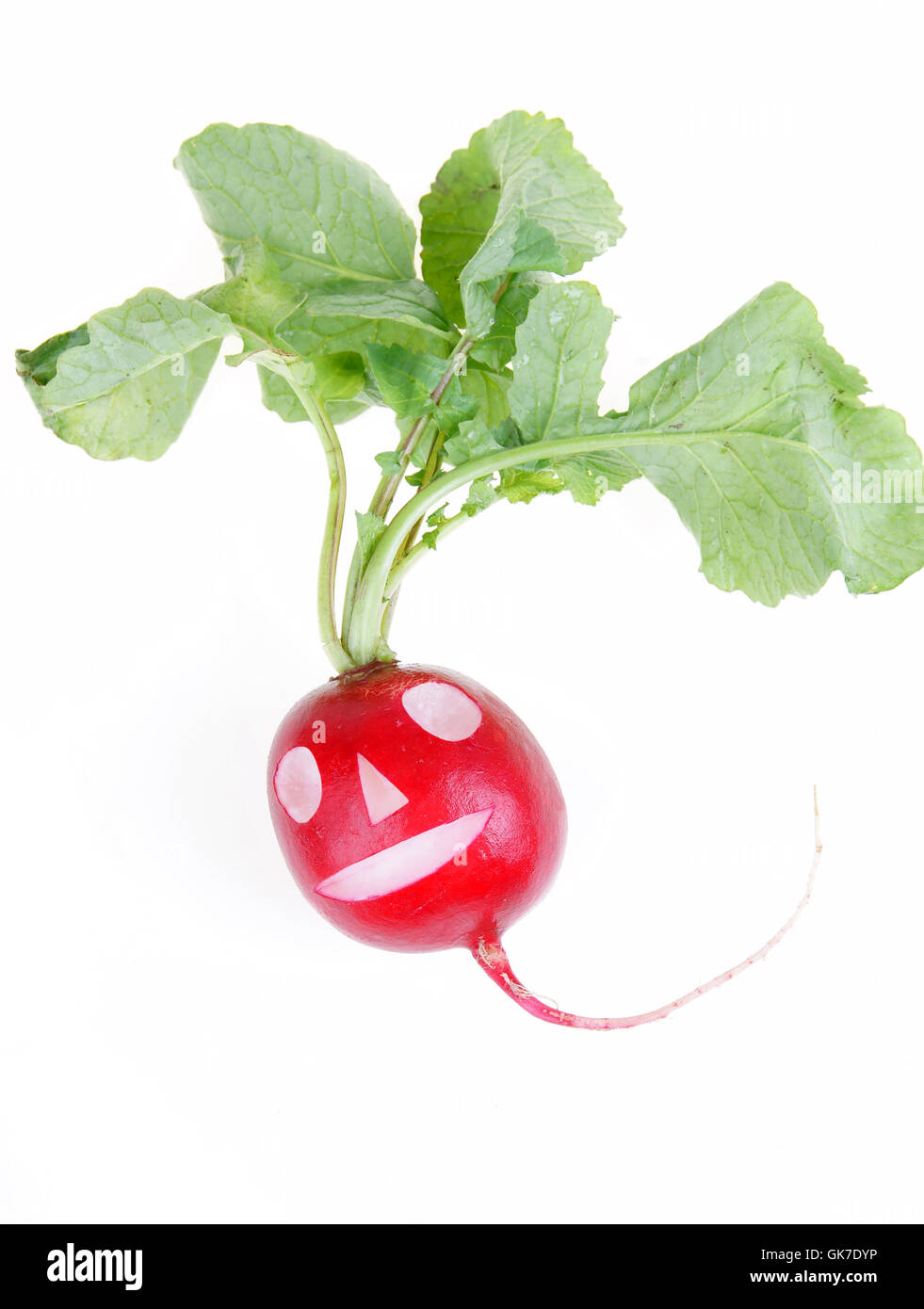 Radish red raphanus sativus Cut Out Stock Images & Pictures - Alamy