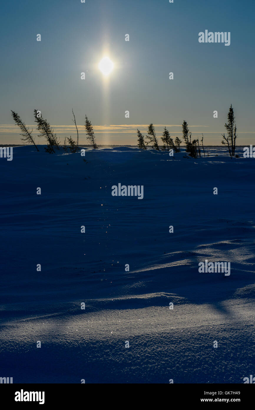 Tundra snow hi-res stock photography and images - Alamy