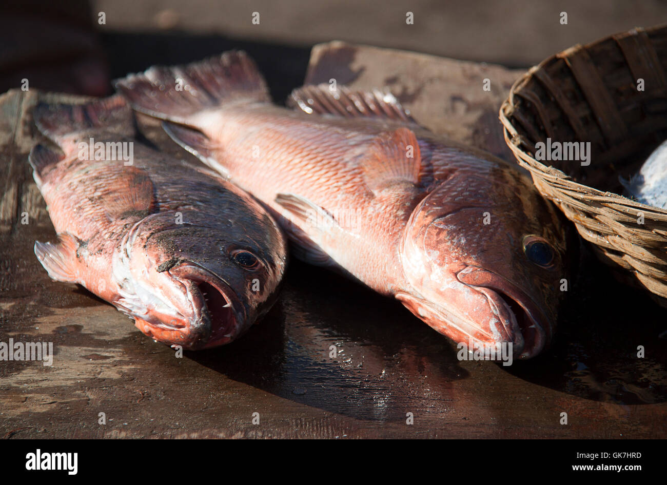 Fish at an outdoor fish market Stock Photo - Alamy